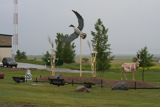 Celebrating Cabri | GoHere Destinations