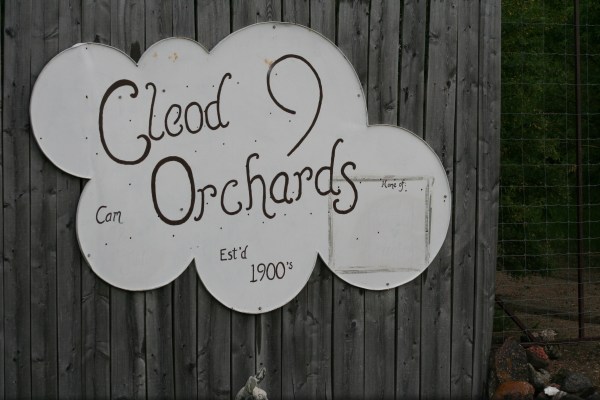 Celebrating Cabri | GoHere Destinations