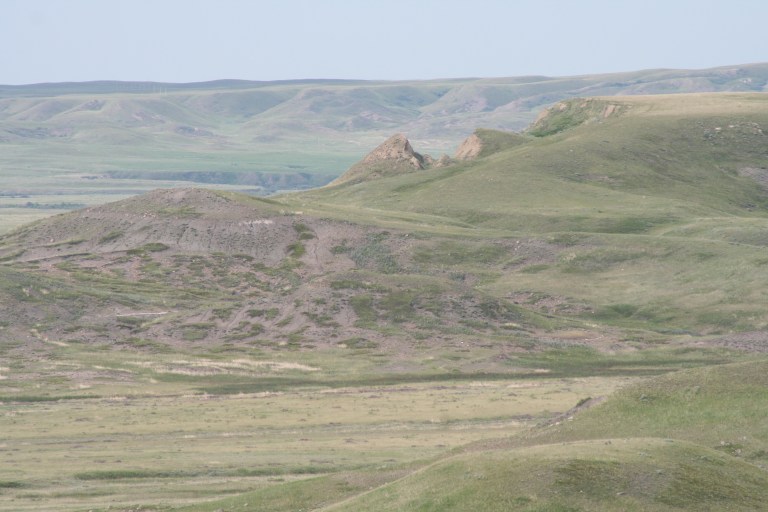 More Than Just Grass at Grasslands | GoHere Destinations